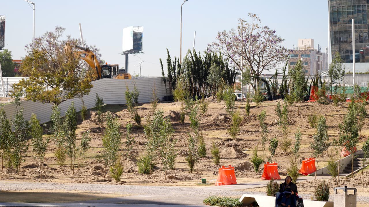 Bosque urbano en CIS y Parque Ecológico se fortalece con 2,200 nuevos ...